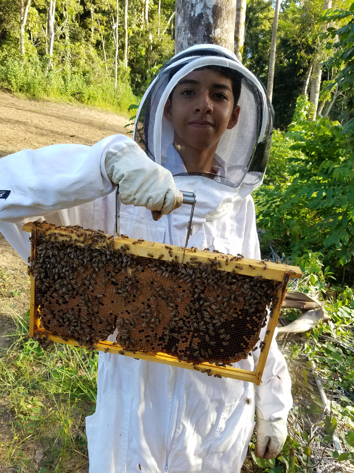 Guare Apiary – Apiaro Guare
